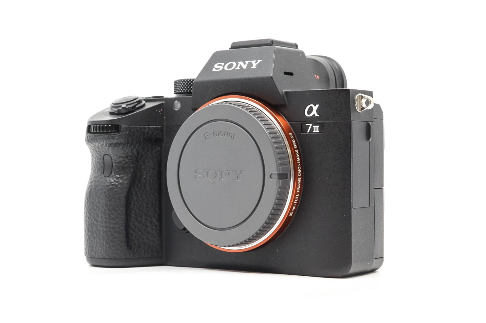 Best Cameras for Beginner Family Photographers - Carley Aplin